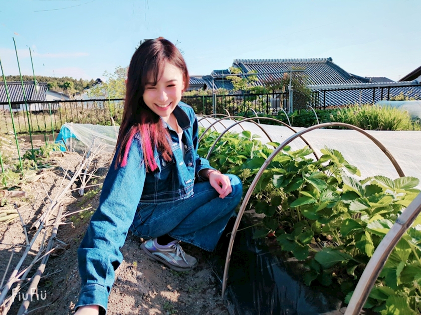 キャスト日記「CLUB🐕ONECHAN🍓 祇園白川店の泉水真梨です🥰今年も苺狩りの季節がやって...」（2024/05/04 14:01）泉永 ...